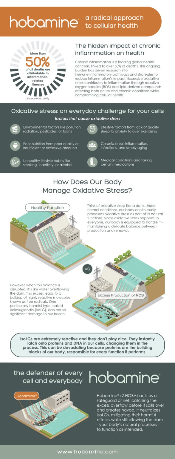 Infographic - Hobamine®